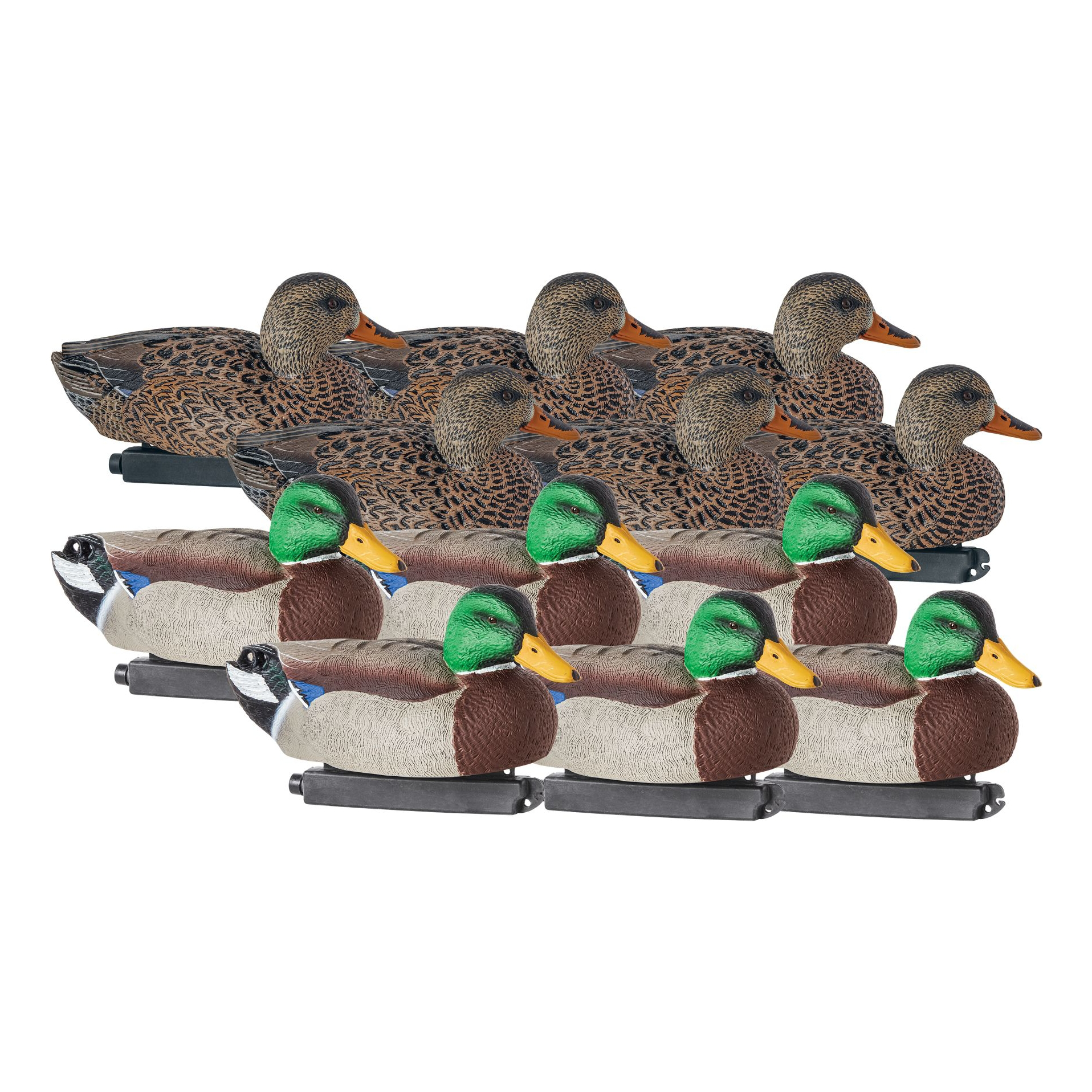 Northern Flight Big Spread Life-Size Mallard Duck Decoys | Cabela's
